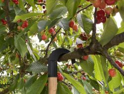 Branch Hook 3D Models | Page 1 | STLFinder