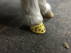 horse hoof ornament 3d models 【 STLFinder