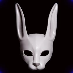 mascara de pumpkin rabbit 3D Models | Page 1 | STLFinder