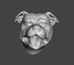 pitbull stl 3D Models | Page 1 | STLFinder