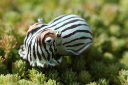 pyjama case pattern 3D Models | Page 1 | STLFinder