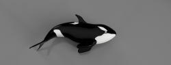orca flashforge tutorial 3D Models | Page 1 | STLFinder