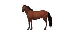 symboli rudolf real horse plush 3D Models | Page 1 | STLFinder