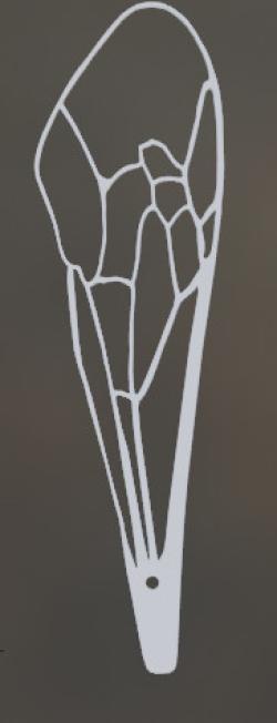 insect wing 2 3D Models | Page 1 | STLFinder