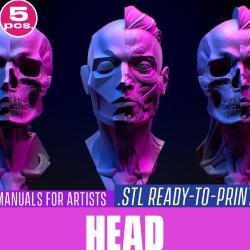 stl anatomy 3D Models | Page 1 | STLFinder