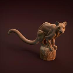 fossa adaptations 3D Models | Page 1 | STLFinder