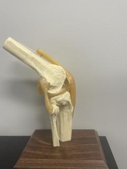 kx07 knee ebay 3D Models | Page 1 | STLFinder