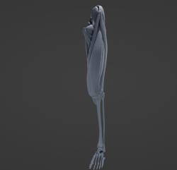 thigh muscle diameter bodybuilder 3D Models | Page 1 | STLFinder