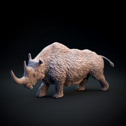 Woolly rhinoceros 3D Models | Page 1 | STLFinder
