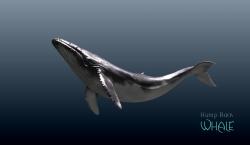 side view of humpback whale tail 3D Models | Page 1 | STLFinder