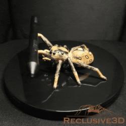 jumping spider 3d models 【 STLFinder