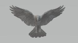 3d printed crow | Page 1 | STLFinder