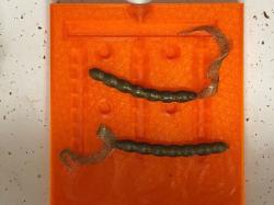 fishing worm molds 3D Models | Page 1 | STLFinder