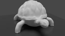 tortoise pool 3D Models | Page 1 | STLFinder