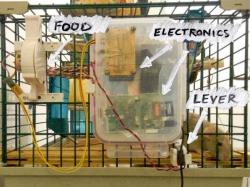 who invented operant conditioning 3d models 【 STLFinder