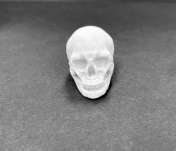 ifunny human skull meme 3D Models | Page 1 | STLFinder