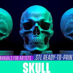 3d skulls for printing | Page 1 | STLFinder