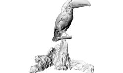 toucan anatomy 3D Models | Page 1 | STLFinder