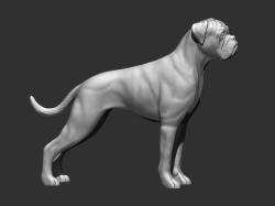 boxer 3d | Page 1 | STLFinder