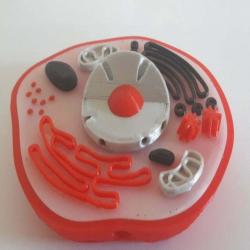 animal cell parts 3D Models | Page 1 | STLFinder