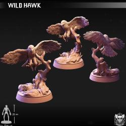 wild hawk 3D Models | Page 1 | STLFinder