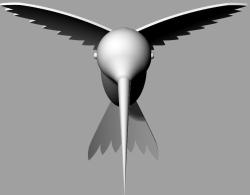 hummingbird drawings free 3D Models | Page 1 | STLFinder