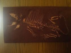 baby dimetrodon skeleton 3D Models | Page 1 | STLFinder