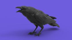 goth crow drawings 3D Models | Page 1 | STLFinder