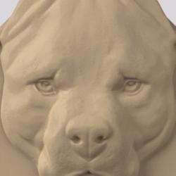 pitbull stl file 3D Models | Page 1 | STLFinder