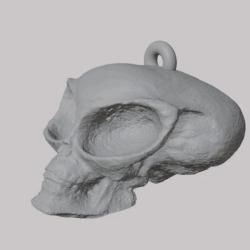 nazca skulls 3D Models | Page 1 | STLFinder