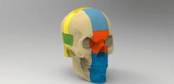 skull puzzle 3d | Page 1 | STLFinder