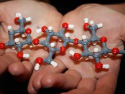 3d printing cellulose | Page 1 | STLFinder