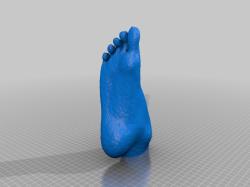 human foot stl 3D Models | Page 1 | STLFinder