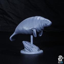 animated manatee 3D Models | Page 1 | STLFinder