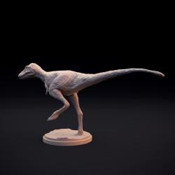 dinosaur tyrannosaurus rex juvenile jane 1 35 v2 3D Models | Page 1 ...