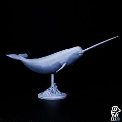 narwhal animated 3D Models | Page 1 | STLFinder