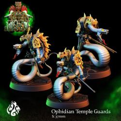 temple guards 3D Models | Page 1 | STLFinder