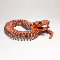 skeleton snake 3D Models | Page 1 | STLFinder