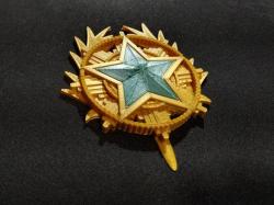 2020 service medal csgo 3D Models | Page 1 | STLFinder