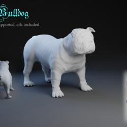 english bulldog stl 3D Models | Page 1 | STLFinder