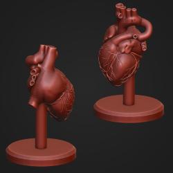 human anatomy art 3D Models | Page 1 | STLFinder