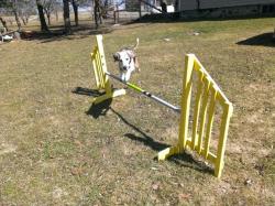 agility jump cups 3D Models | Page 1 | STLFinder