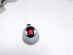 java rice sparrow 3D Models | Page 1 | STLFinder