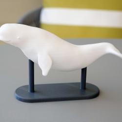 boeing beluga 3D Models | Page 1 | STLFinder