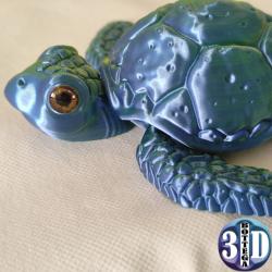 sea turtle print 3D Models | Page 1 | STLFinder
