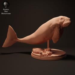 dugong 3D Models | Page 1 | STLFinder