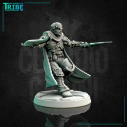 dual wielding fantasy art dnd elf male ranger with two swords 3D Models ...