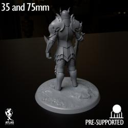 blackguard 5e 3D Models | Page 1 | STLFinder