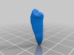 lower premolar 3D Models | Page 1 | STLFinder