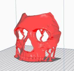 cod ghost skull mask 3d models 【 STLFinder